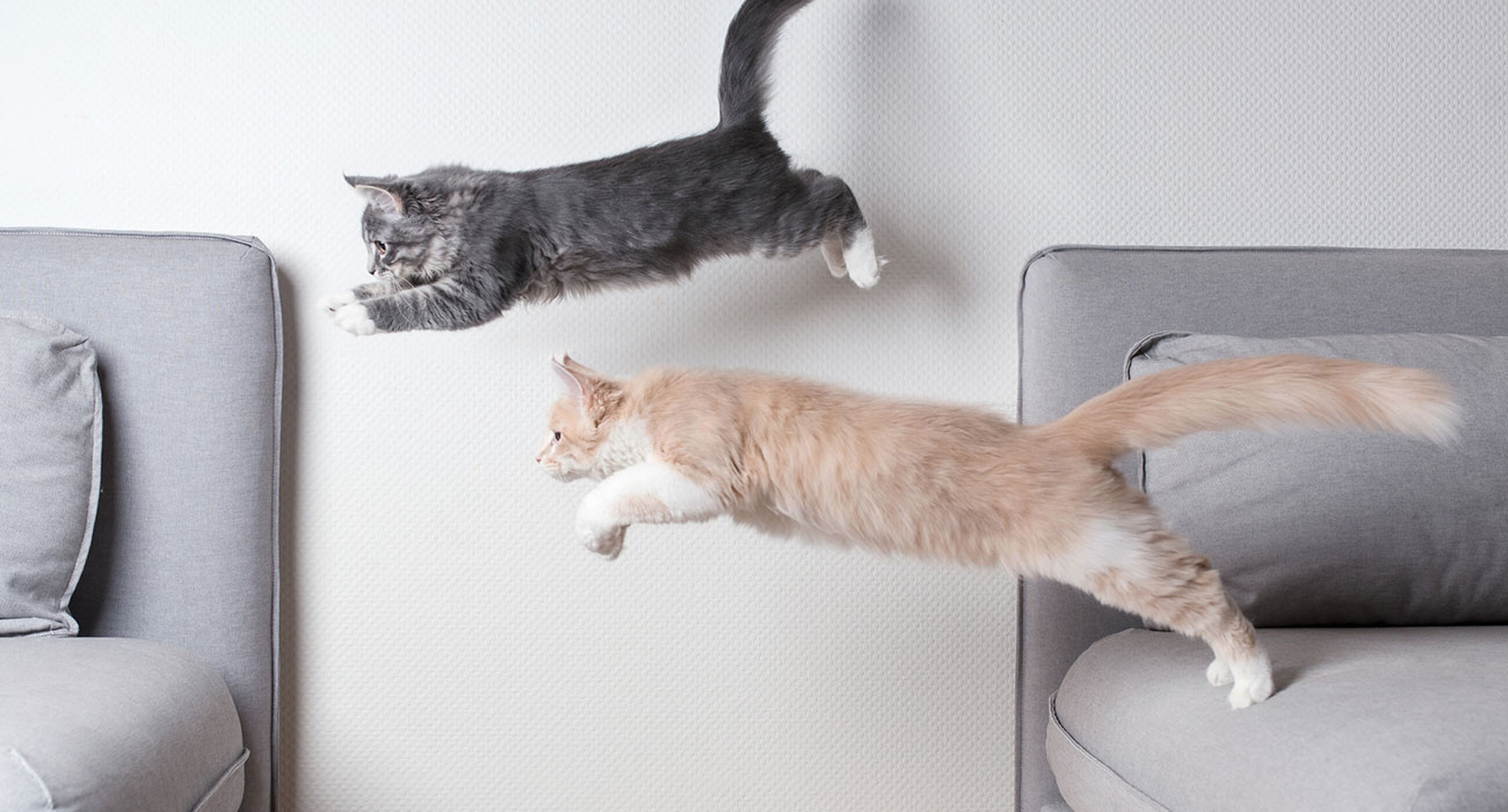 'Als ik wil opladen, zeg ik dat ze hun kamers op moeten ruimen. Zijn ze ...