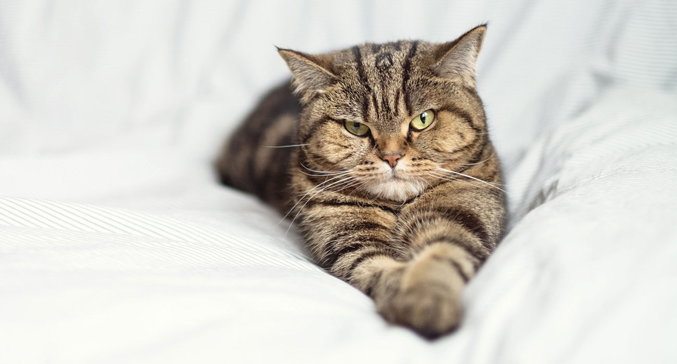 Ben jij ook altijd bang dat mensen boos op je zijn? Dit is waarom