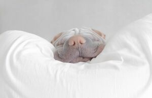 De Ferber-methode: werkt die écht?