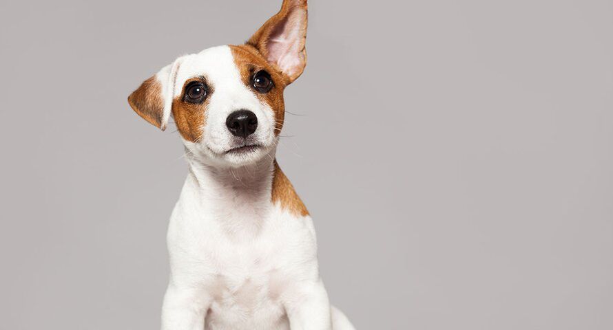 De gehoortest bij pasgeborenen: zo werkt die