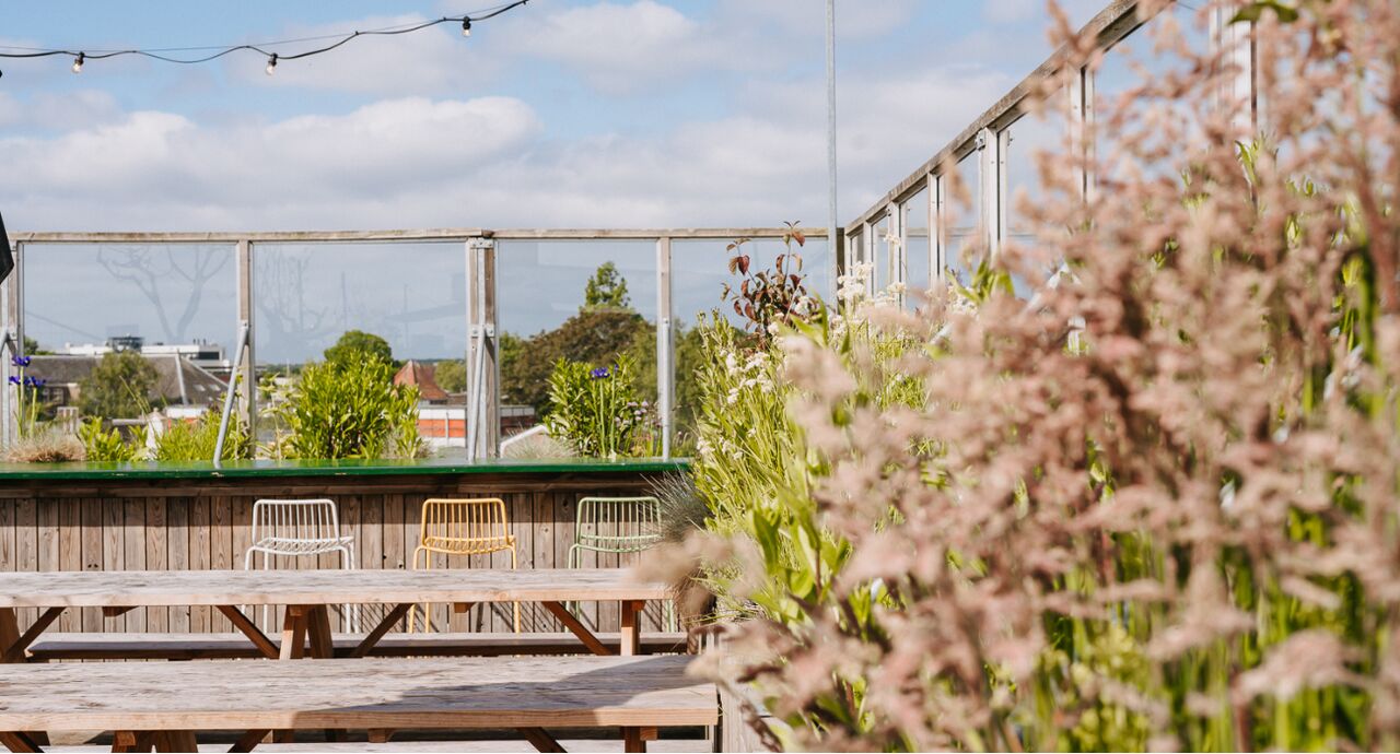 DeDAKKAS in Haarlem: deze rooftop-hotspot wil je deze zomer ontdekken
