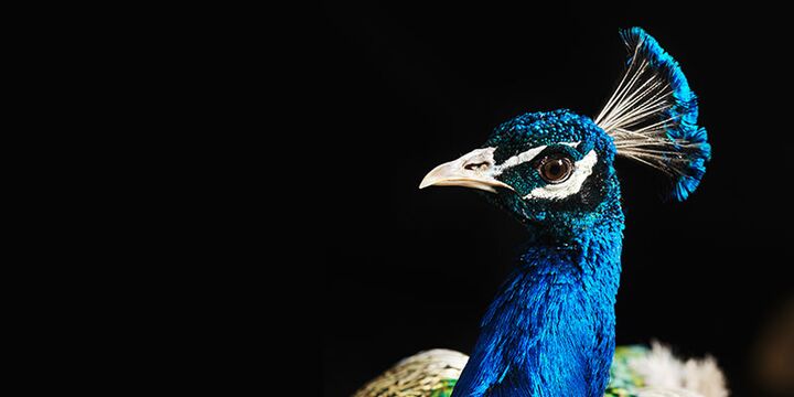 'Mam, ben ik lelijk?' Hoe ga je daarmee om, zelfvertrouwen bij je kind?